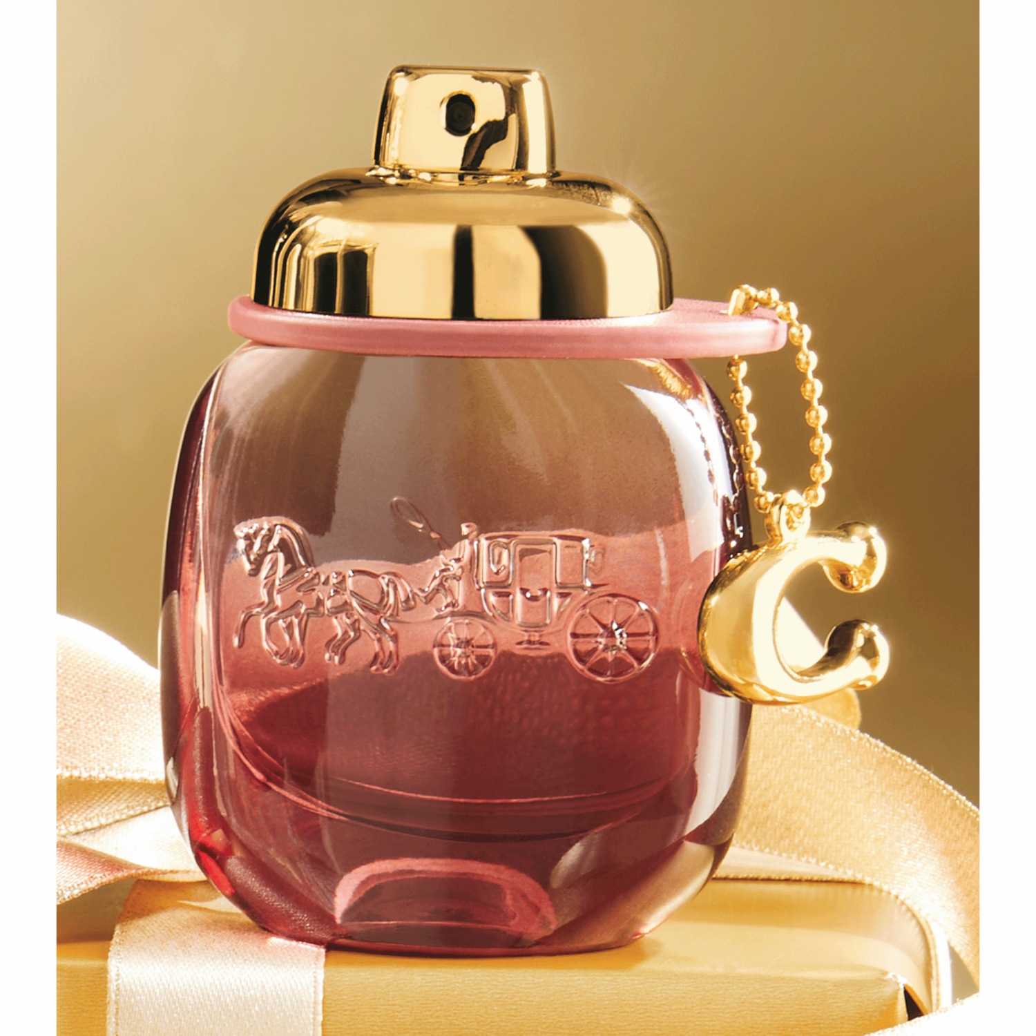 Coach Wild Rose for Her | Midnight Velvet