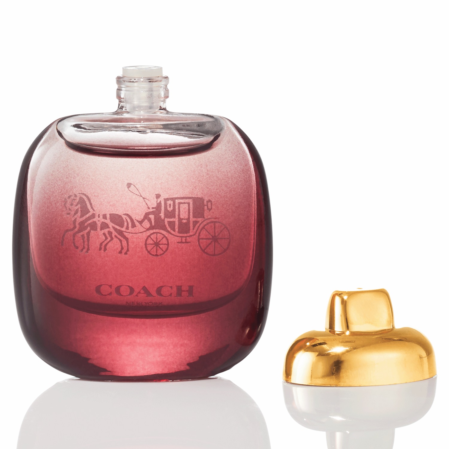 Coach Wild Rose EDP | Midnight Velvet