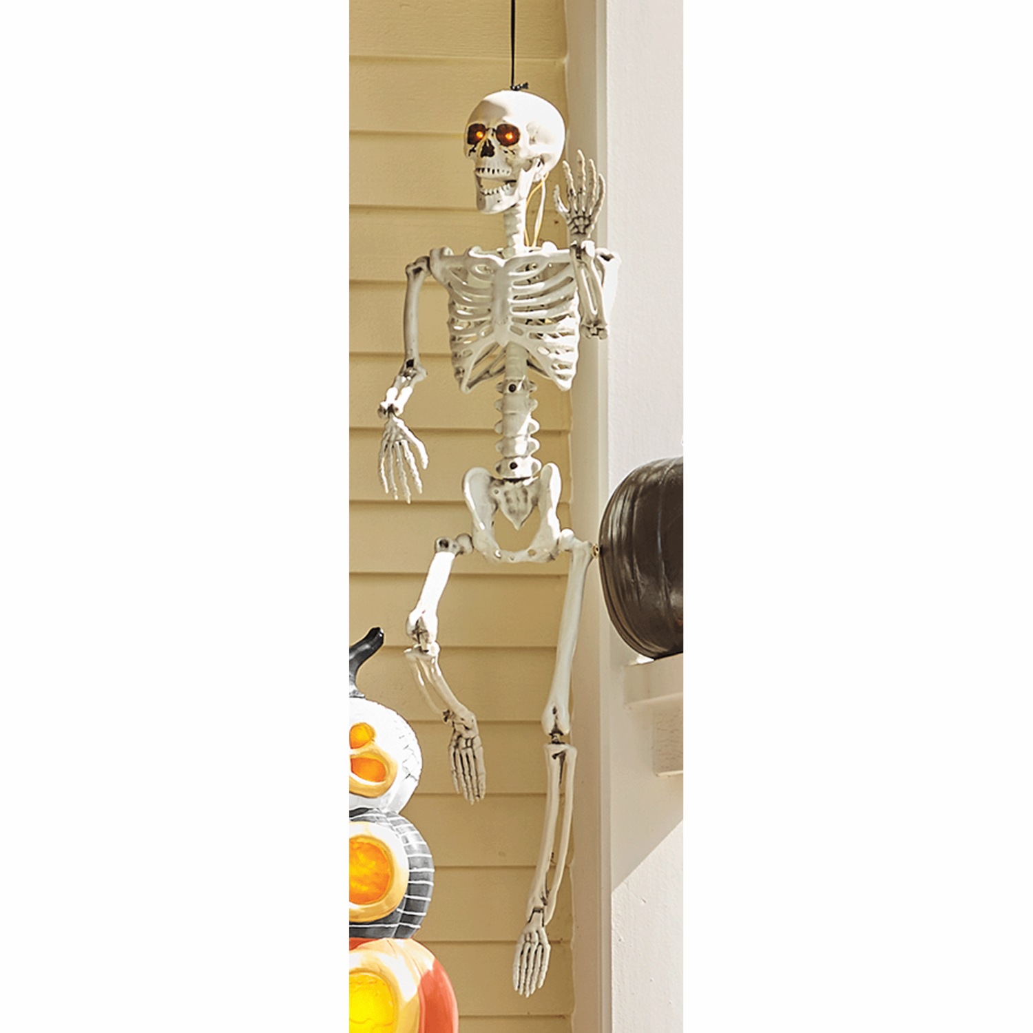 Set of 2 Posable Skeletons | Midnight Velvet